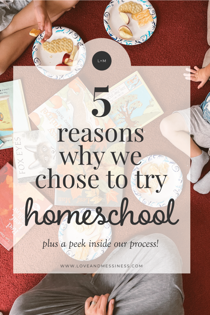 The 5 Main Reasons Why We Chose to Homeschool - Love & Messiness